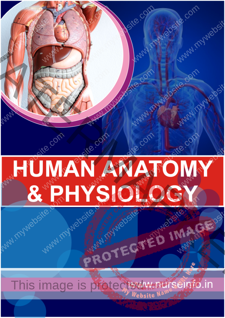 Anatomy And Physiology Book PDF For NURSING M B B S BDS DMLT anatomy-and-physiology-book-pdf-for-nursing-m-b-b-s-bds-dmlt