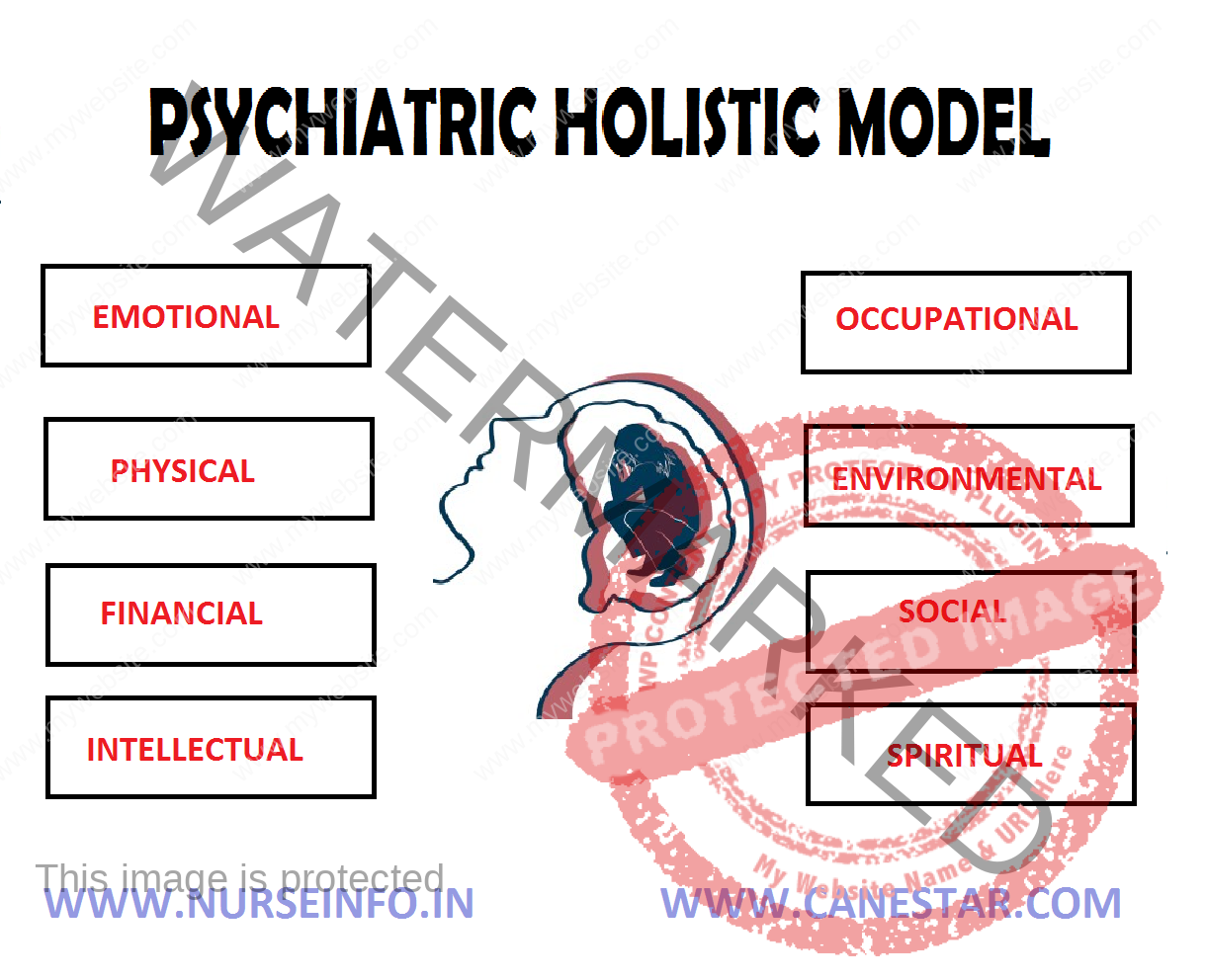 HOLISTIC MODEL (PSYCHIATRIC NURSING) - Nurse Info