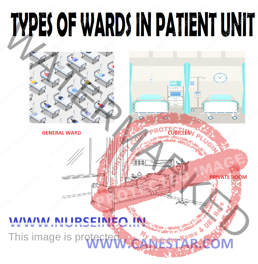 TYPES OF WARDS IN PATIENT UNIT & PRINCIPLES OF CLEANLINESS - Nurse Info
