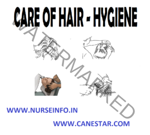 CARE OF HAIR AND COMBING - Nurse Info CARE OF HAIR - MAINTAINING ...
