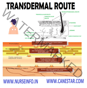 TRANSDERMAL ROUTE OF DRUG ADMINISTRATION - Nurse Info