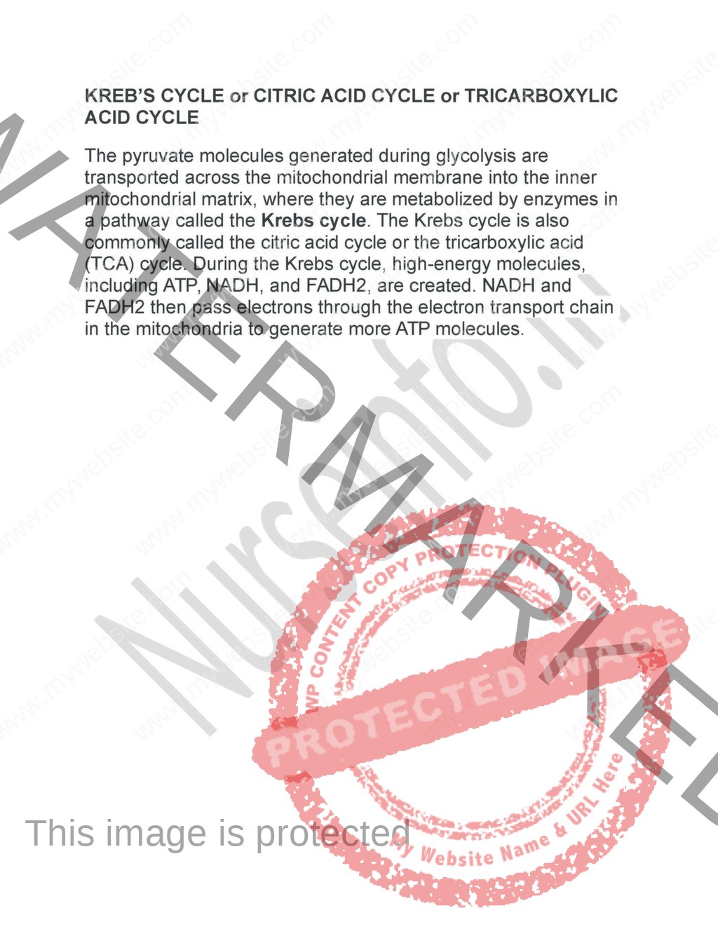 BSC Nursing First Year Syllabus Biochemistry Notes PDF Nurse Info