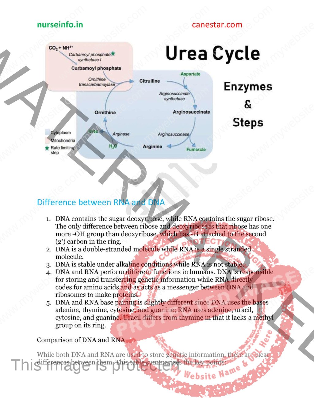 Biochemistry Notes/Book (PDF) for P.C. or P.B. BSC First Year Nursing ...