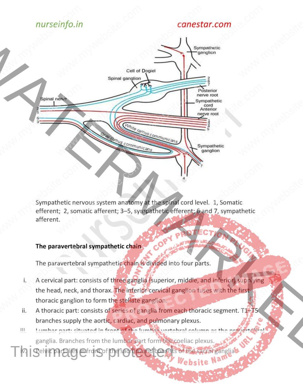 BSc Nursing First Year Anatomy Notes/Book (PDF) - Nurse Info