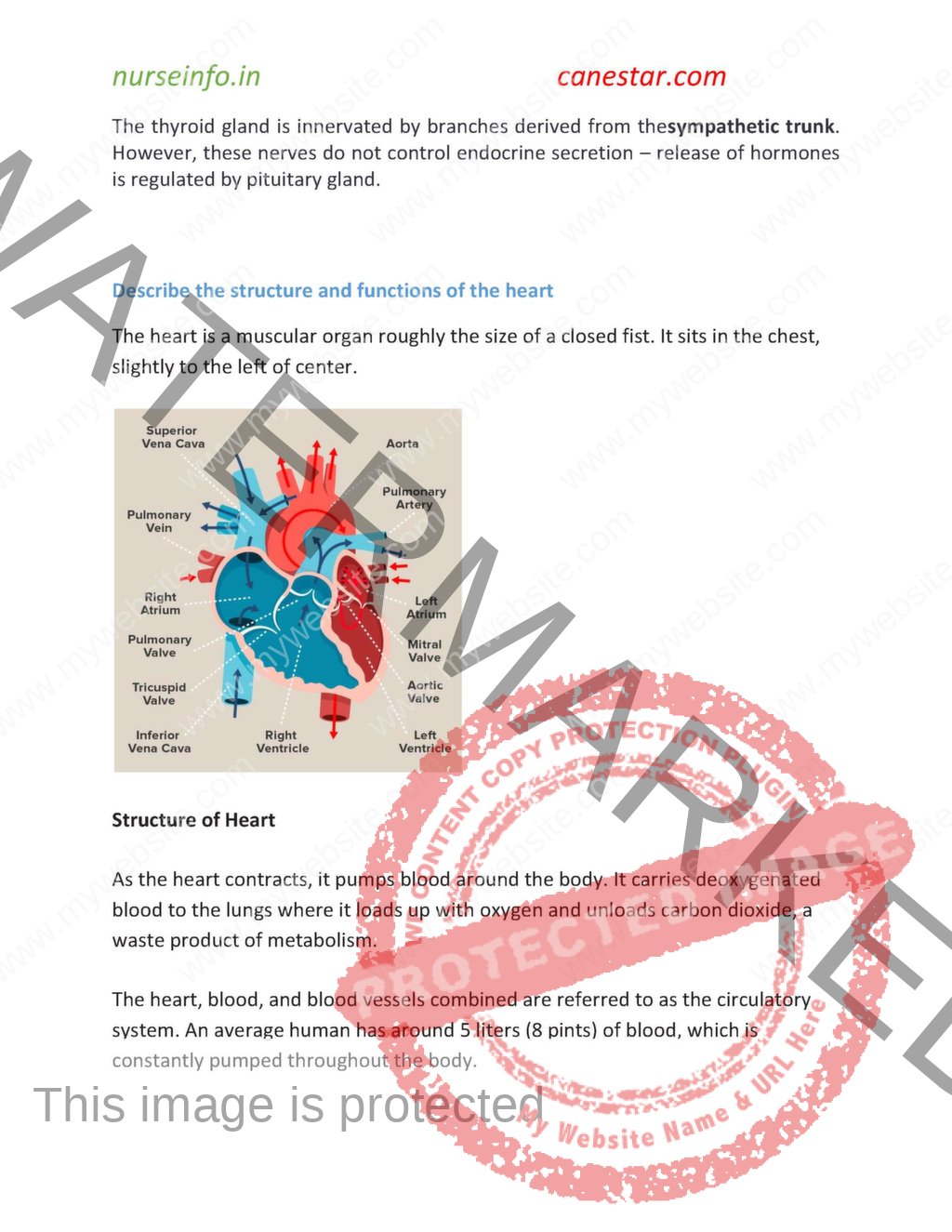BSc Nursing First Year Anatomy Notes/Book (PDF) - Nurse Info