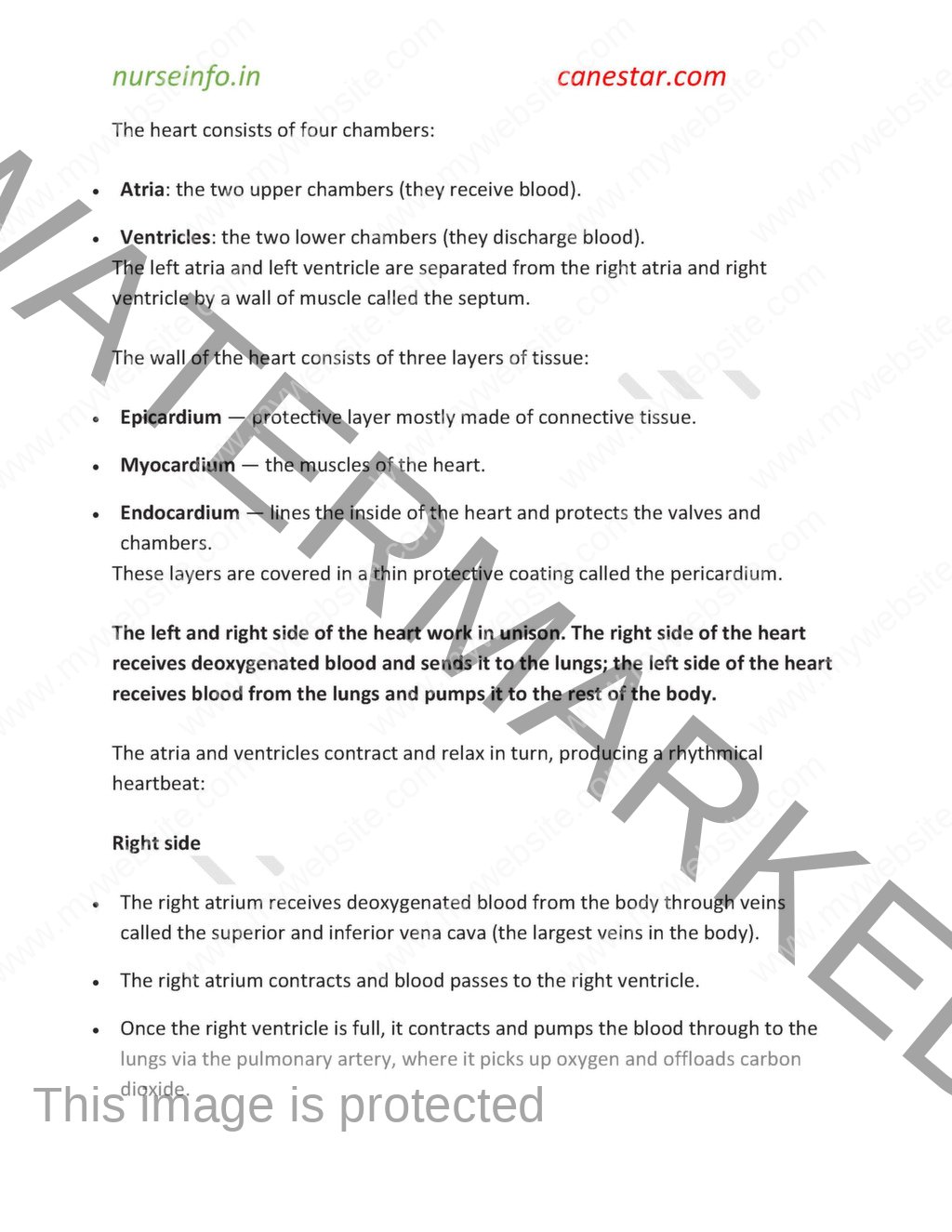 BSc Nursing First Year Anatomy Notes/Book (PDF) - Nurse Info