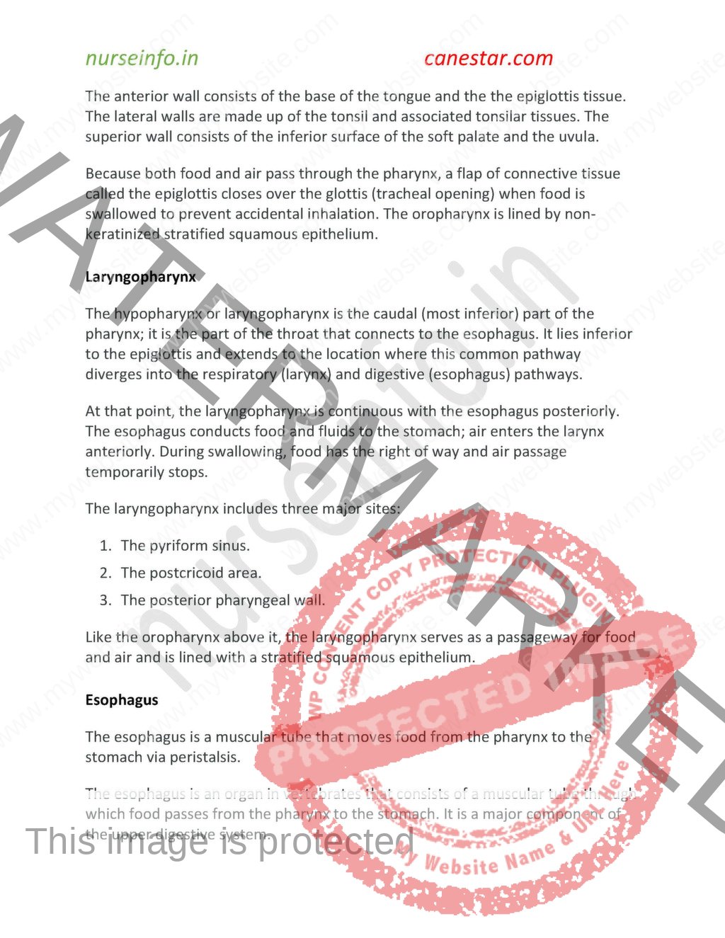 BSc Nursing First Year Anatomy Notes/Book (PDF) - Nurse Info