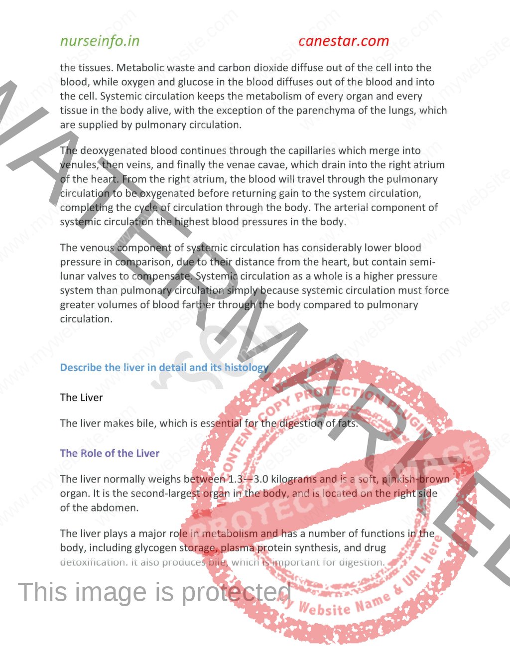 BSc Nursing First Year Anatomy Notes/Book (PDF) - Nurse Info