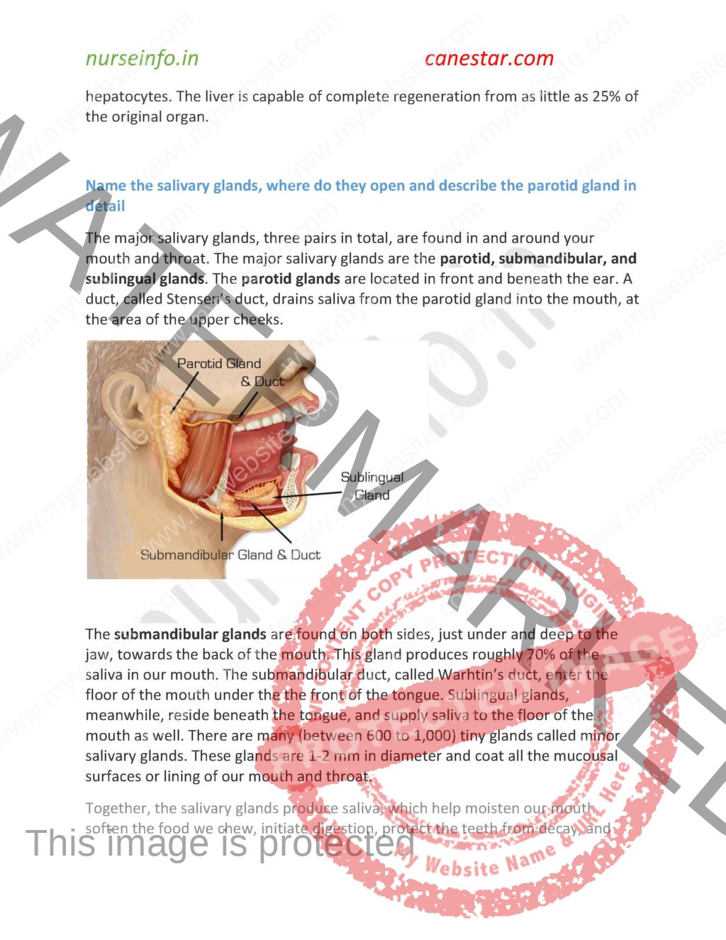 BSc Nursing First Year Anatomy Notes/Book (PDF) - Nurse Info