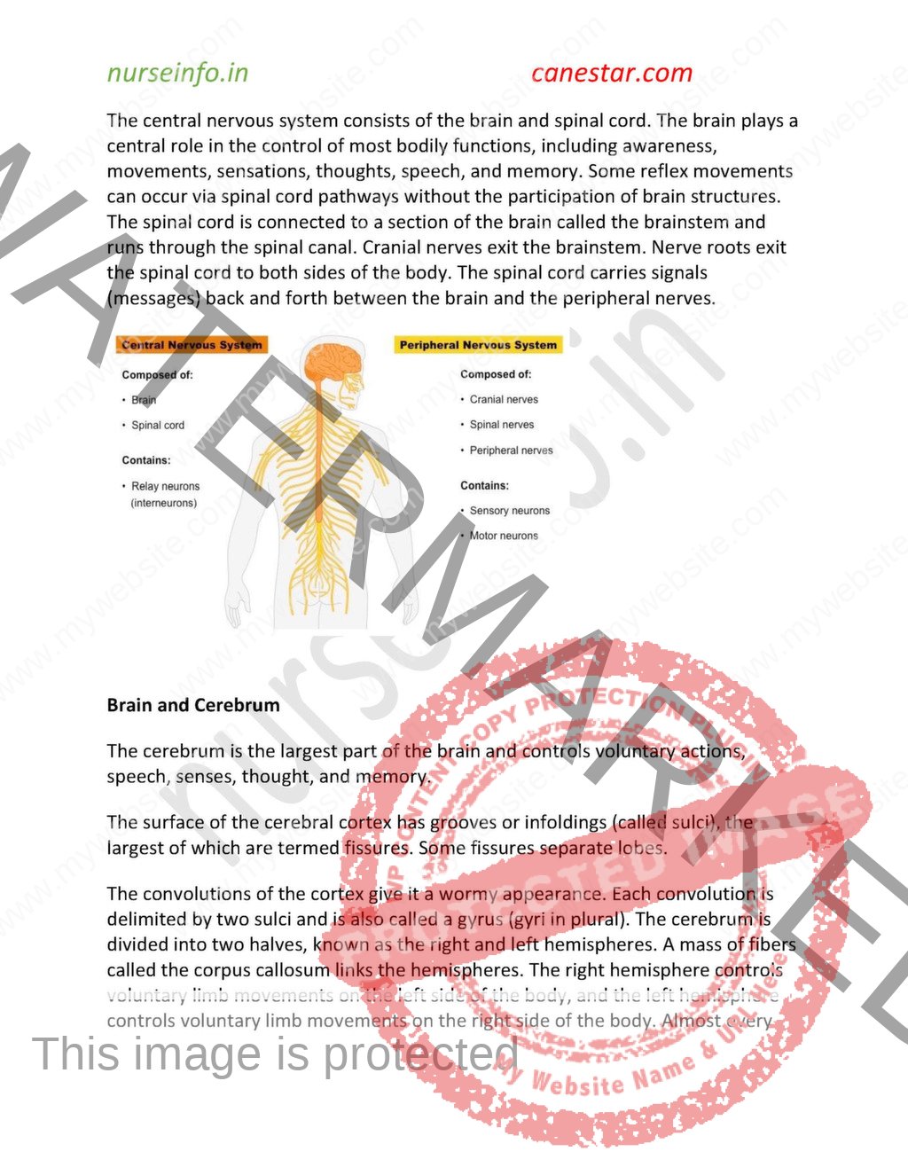 BSc Nursing First Year Anatomy Notes/Book (PDF) - Nurse Info