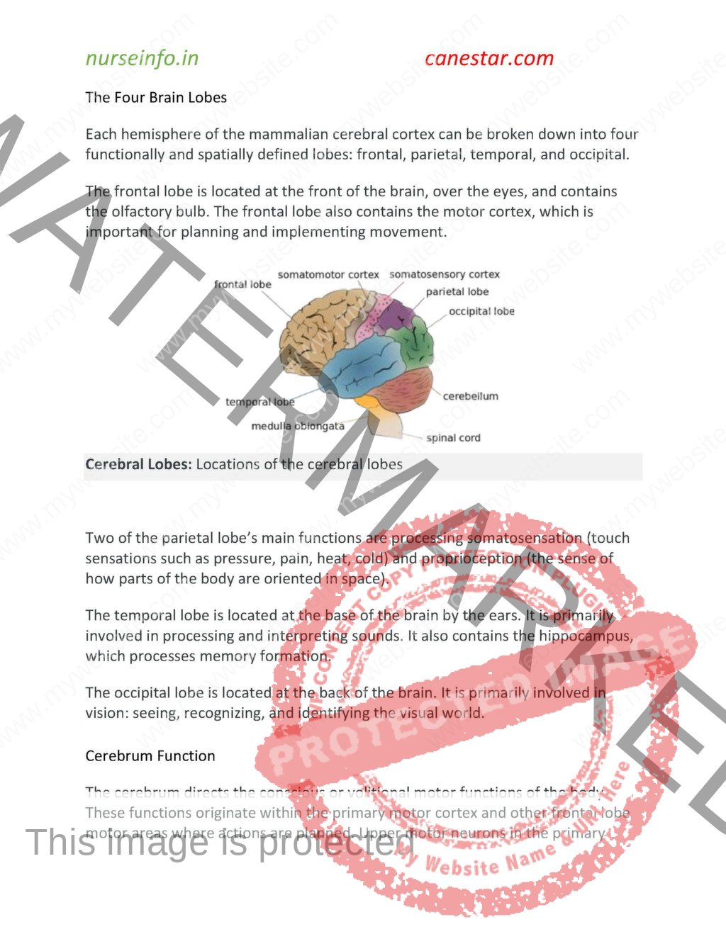 BSc Nursing First Year Anatomy Notes/Book (PDF) - Nurse Info