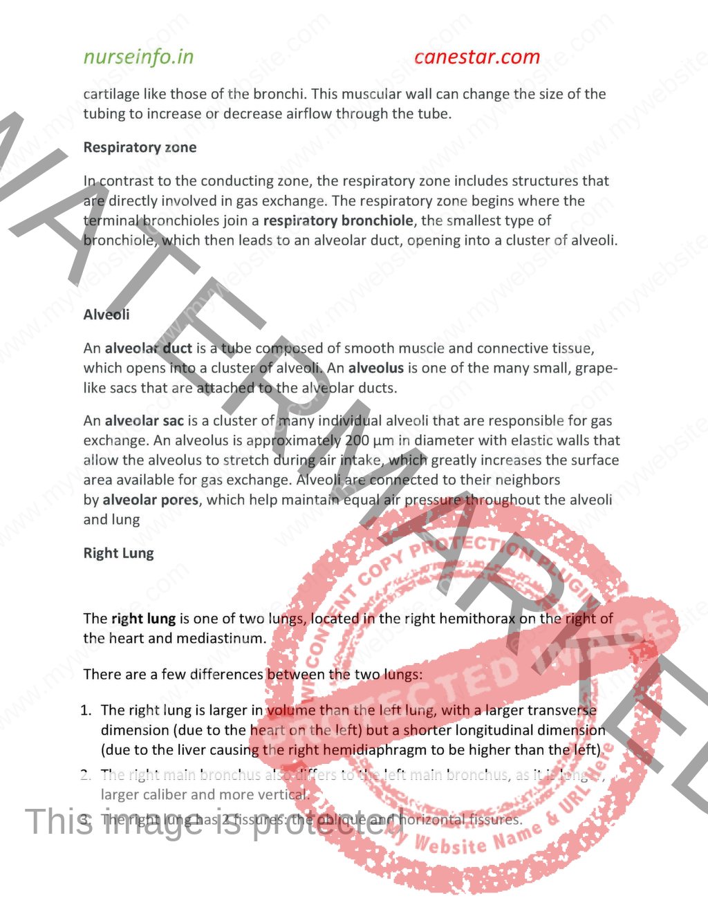 BSc Nursing First Year Anatomy Notes/Book (PDF) - Nurse Info