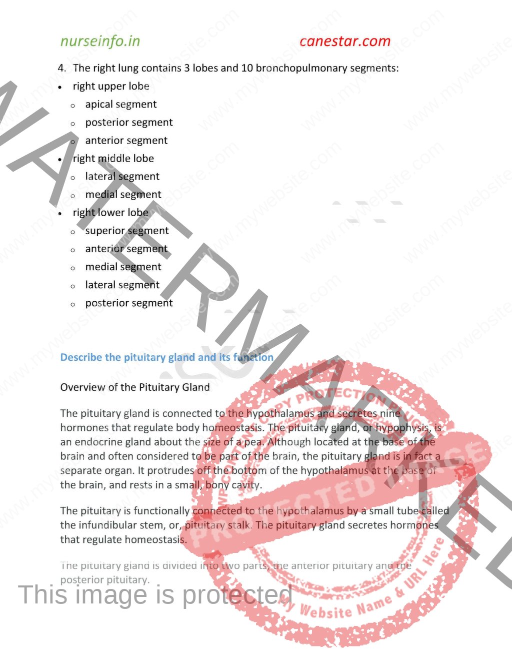 BSc Nursing First Year Anatomy Notes/Book (PDF) - Nurse Info