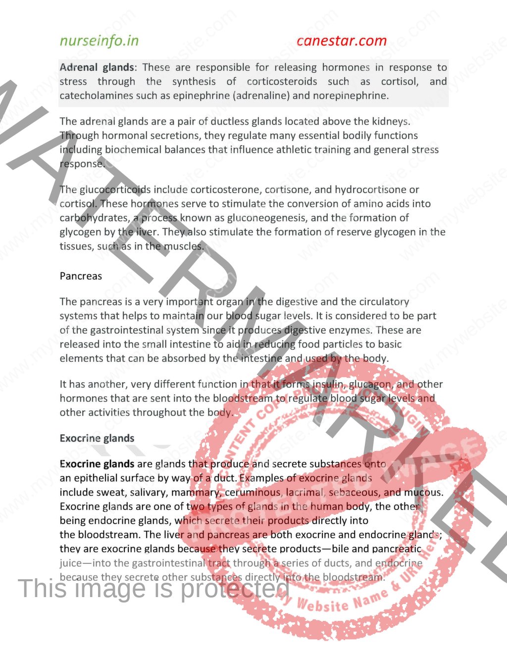 BSc Nursing First Year Anatomy Notes/Book (PDF) - Nurse Info