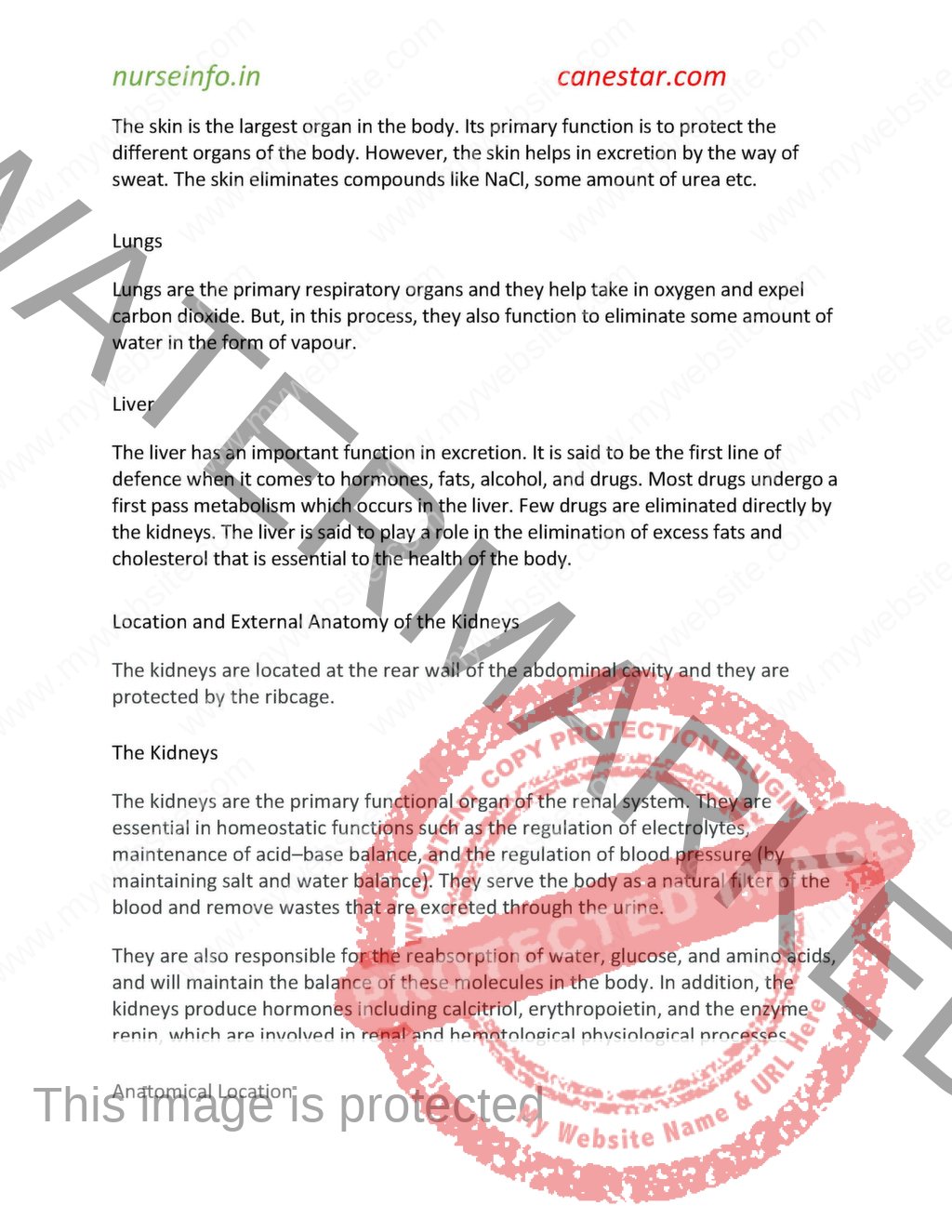 BSc Nursing First Year Anatomy Notes/Book (PDF) - Nurse Info