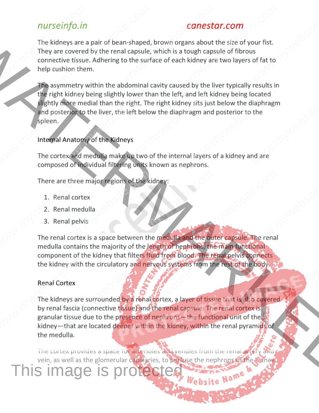 BSc Nursing First Year Anatomy Notes/Book (PDF) - Nurse Info