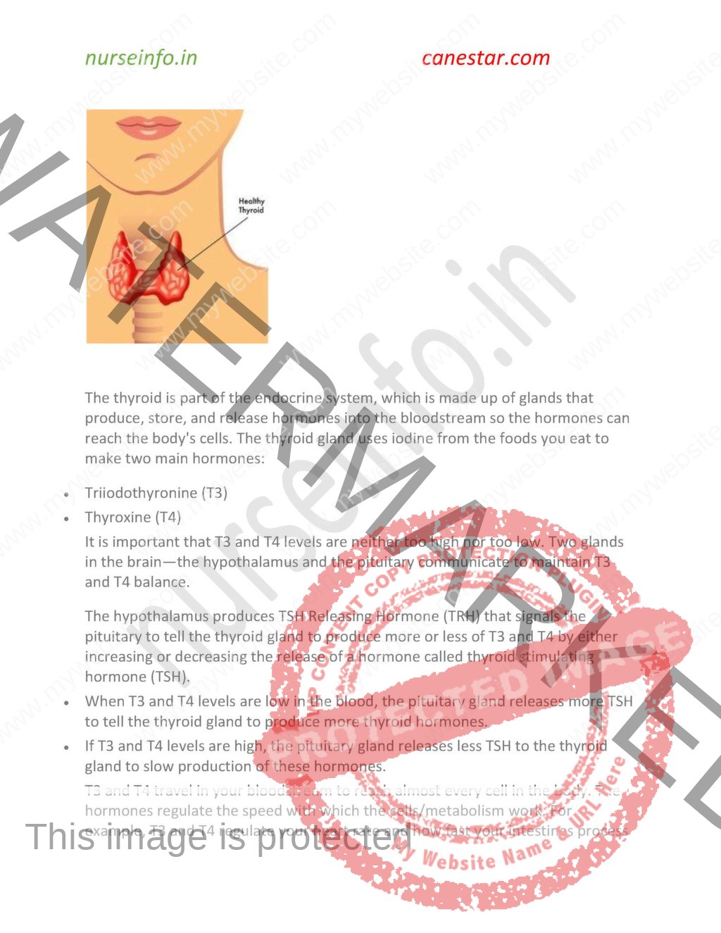 BSc Nursing First Year Anatomy Notes/Book (PDF) - Nurse Info