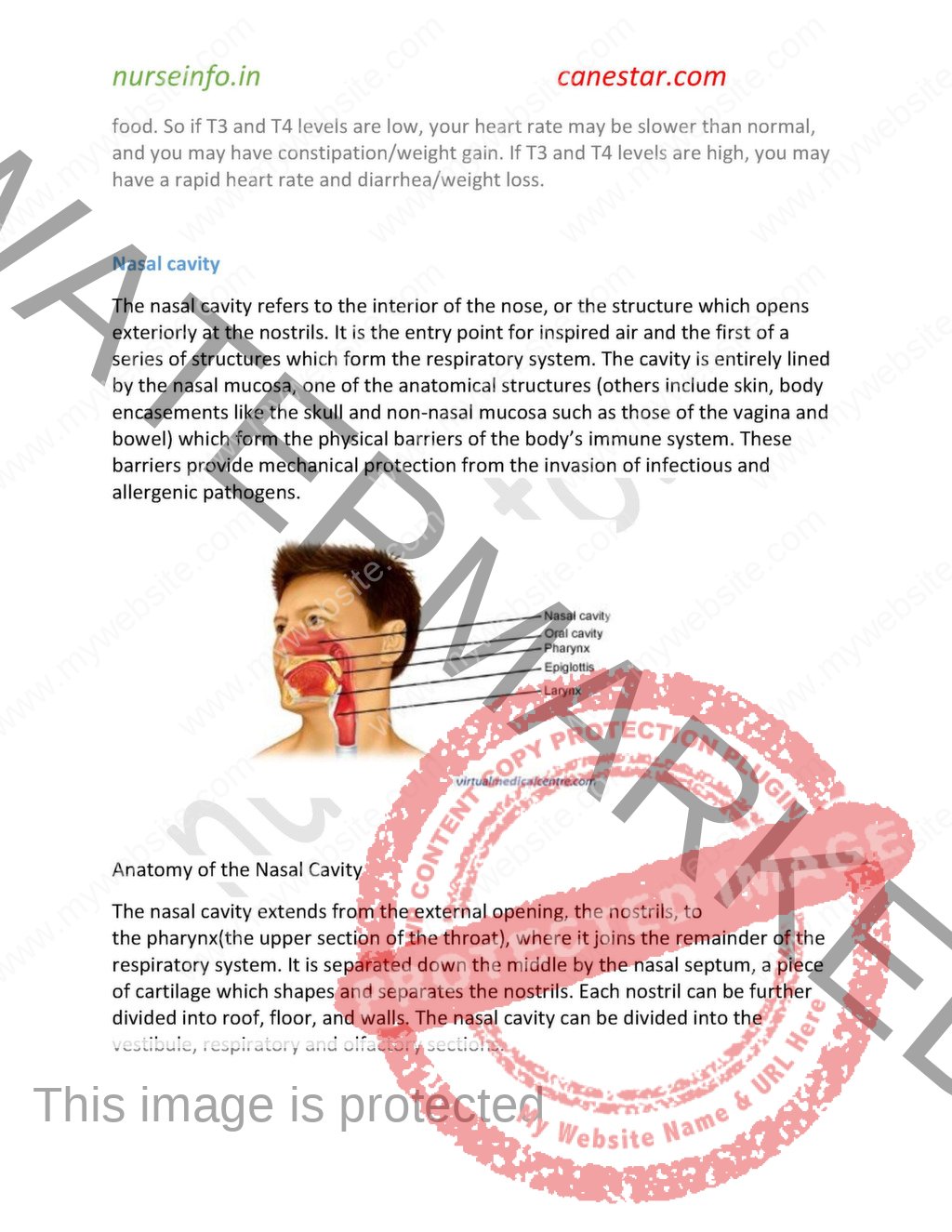 BSc Nursing First Year Anatomy Notes/Book (PDF) - Nurse Info