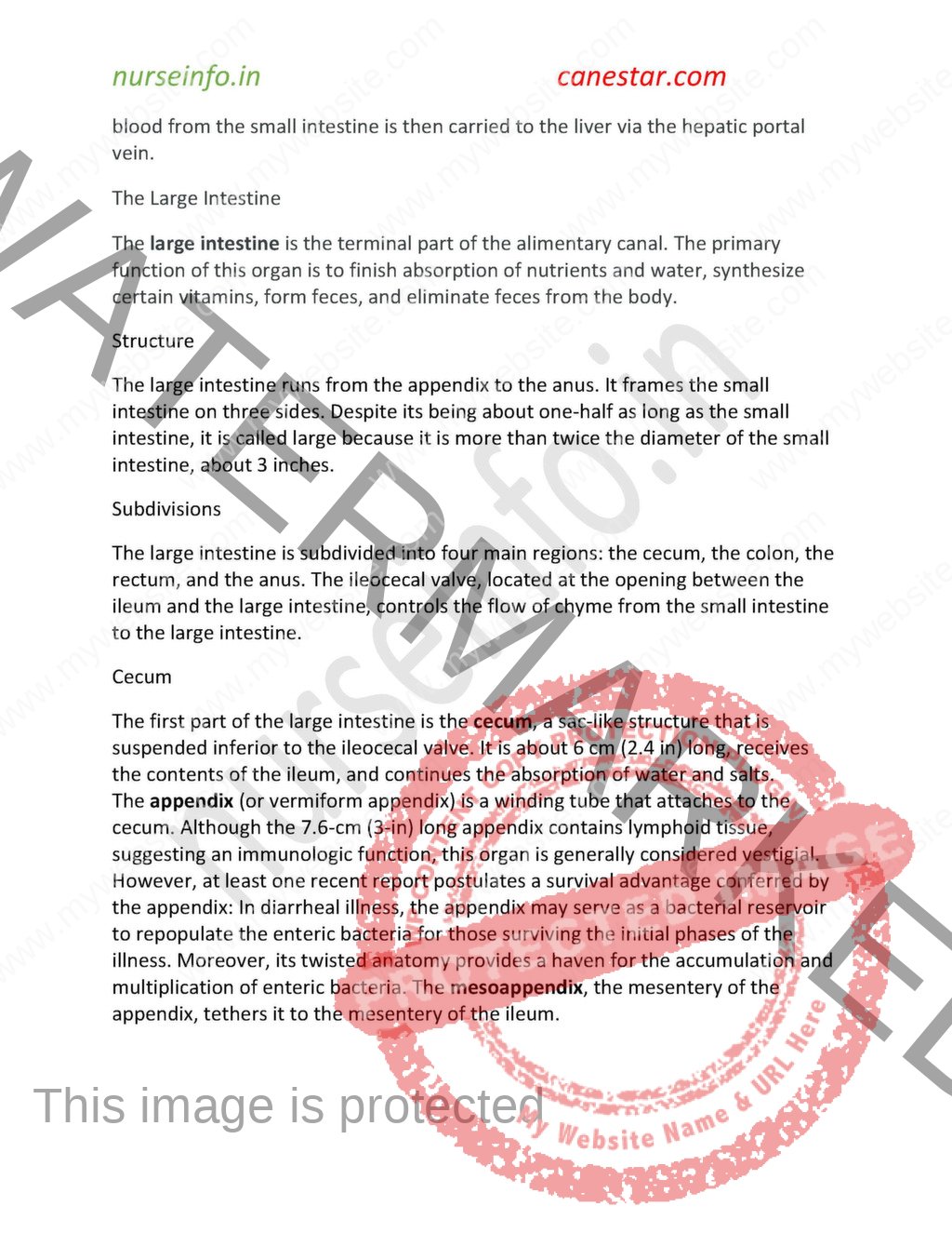 BSc Nursing First Year Anatomy Notes/Book (PDF) | nurseinfo