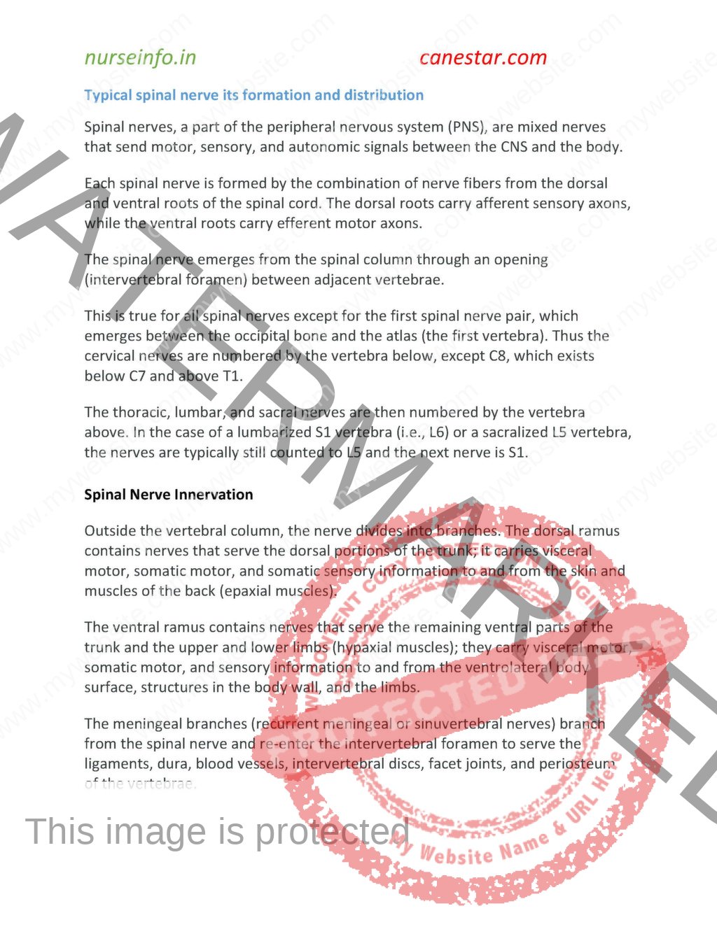 BSc Nursing First Year Anatomy Notes/Book (PDF) | nurseinfo