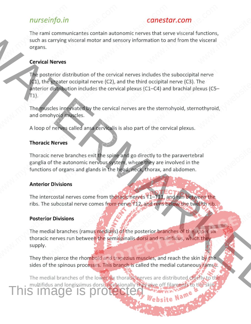 BSc Nursing First Year Anatomy Notes/Book (PDF) | nurseinfo