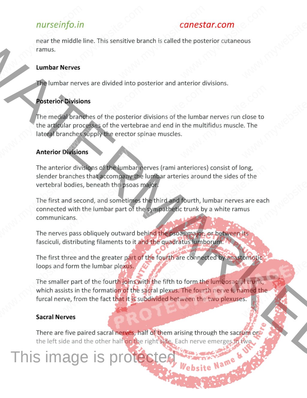 BSc Nursing First Year Anatomy Notes/Book (PDF) | nurseinfo