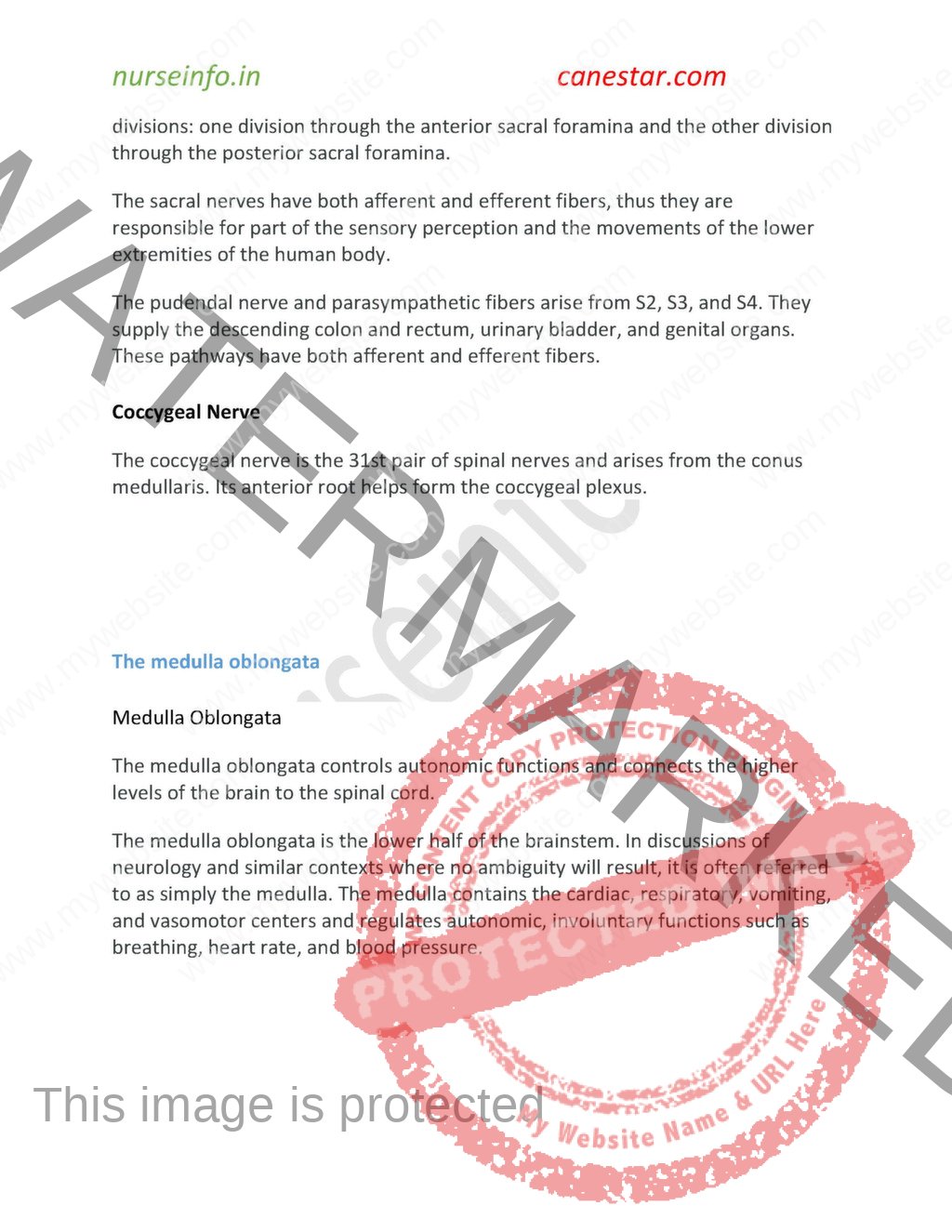 BSc Nursing First Year Anatomy Notes/Book (PDF) | nurseinfo