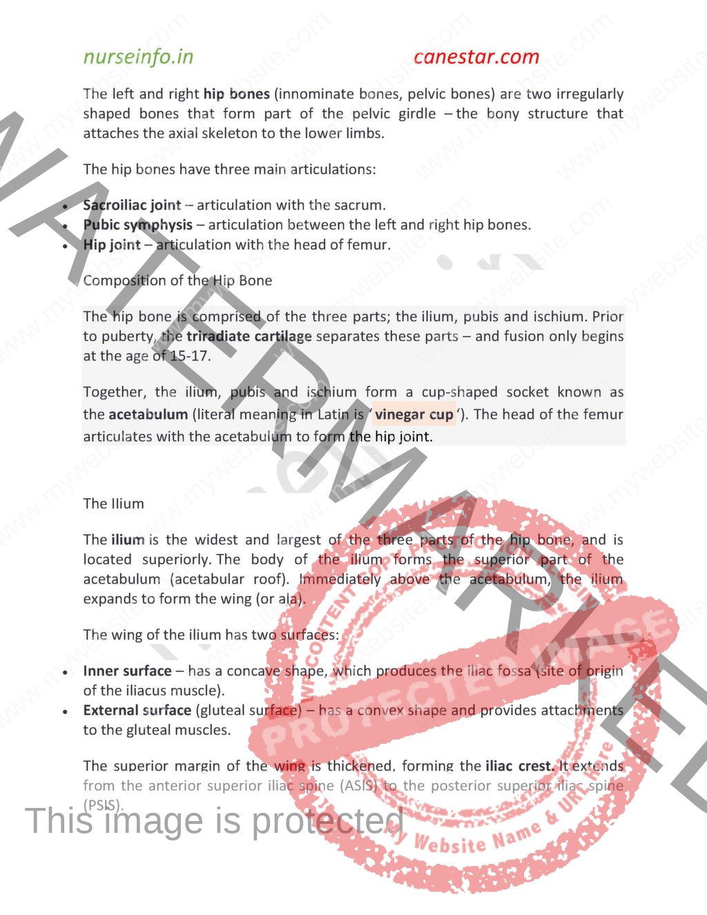 BSc Nursing First Year Anatomy Notes/Book (PDF) | nurseinfo