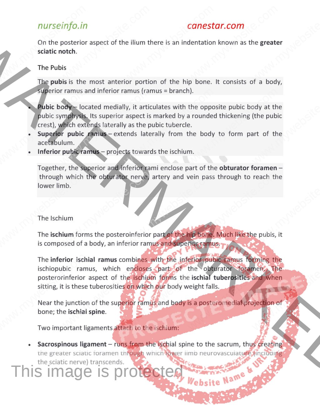 BSc Nursing First Year Anatomy Notes/Book (PDF) | nurseinfo