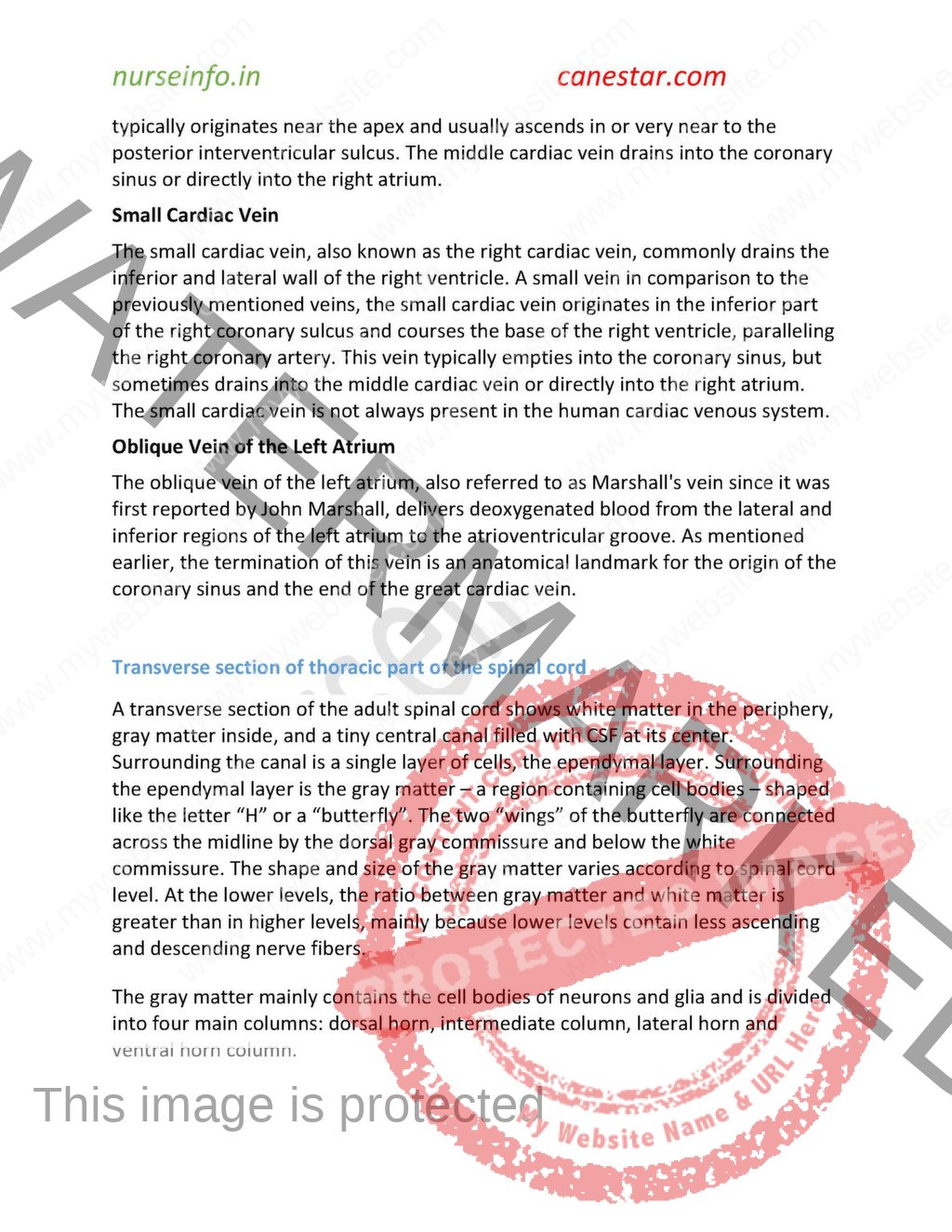 BSc Nursing First Year Anatomy Notes/Book (PDF) | nurseinfo