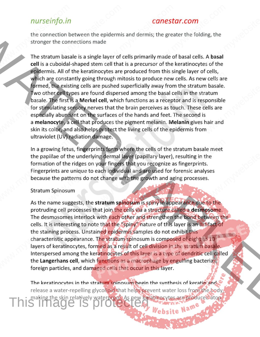 BSc Nursing First Year Anatomy Notes/Book (PDF) | nurseinfo