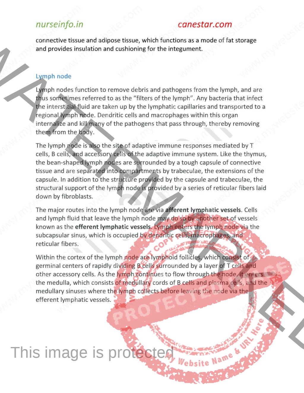 BSc Nursing First Year Anatomy Notes/Book (PDF) | nurseinfo