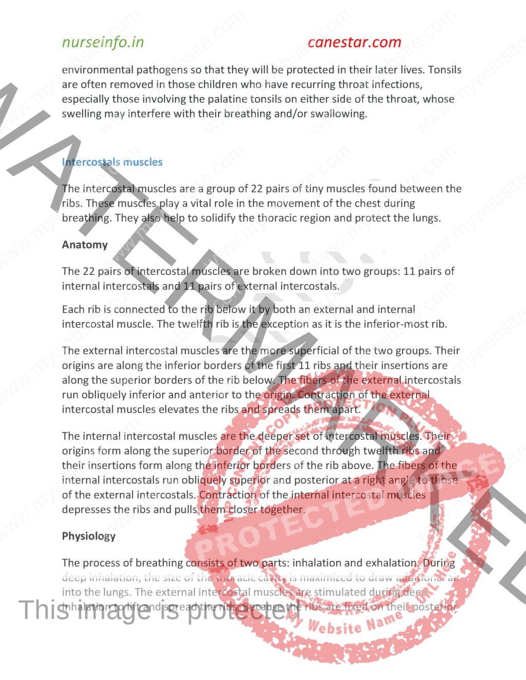 BSc Nursing First Year Anatomy Notes/Book (PDF) | nurseinfo