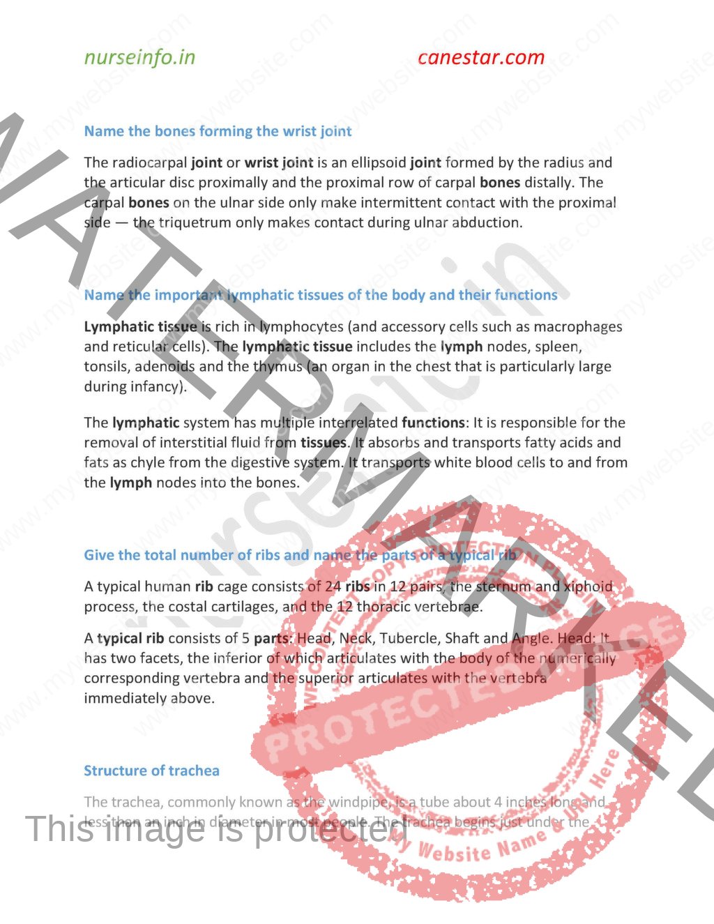 BSc Nursing First Year Anatomy Notes/Book (PDF) | nurseinfo