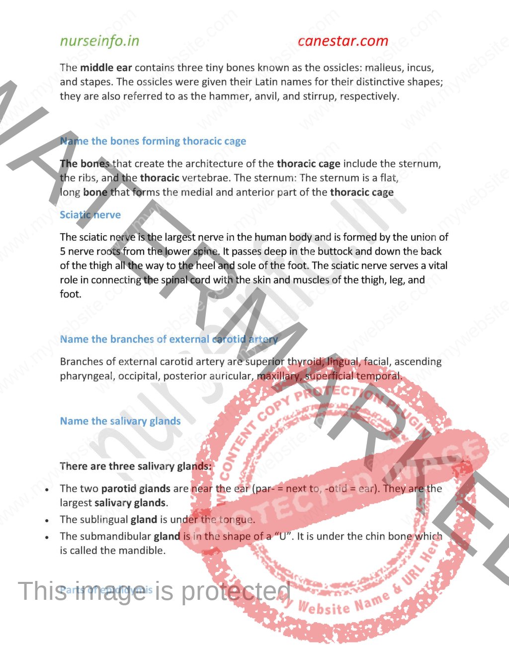 BSc Nursing First Year Anatomy Notes/Book (PDF) | nurseinfo