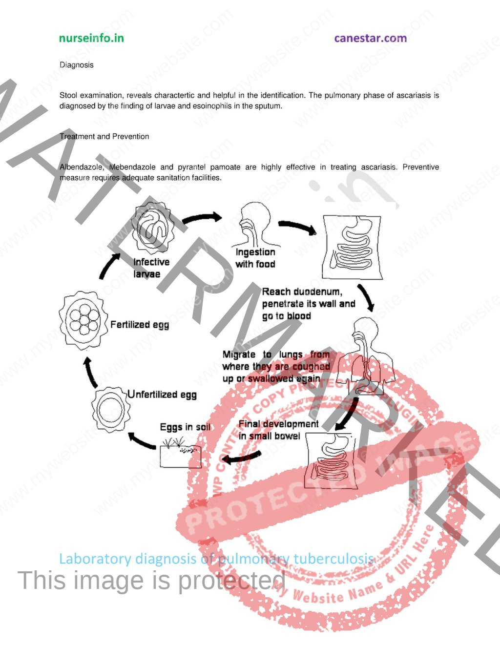Microbiology Notes/Book (PDF) for P.C. or P.B. BSc Nursing First Year ...