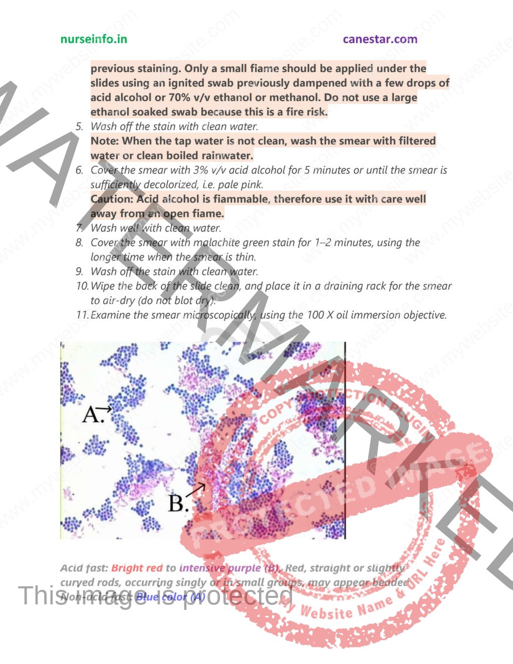 Microbiology Notes/Book (PDF) for P.C. or P.B. BSc Nursing First Year ...