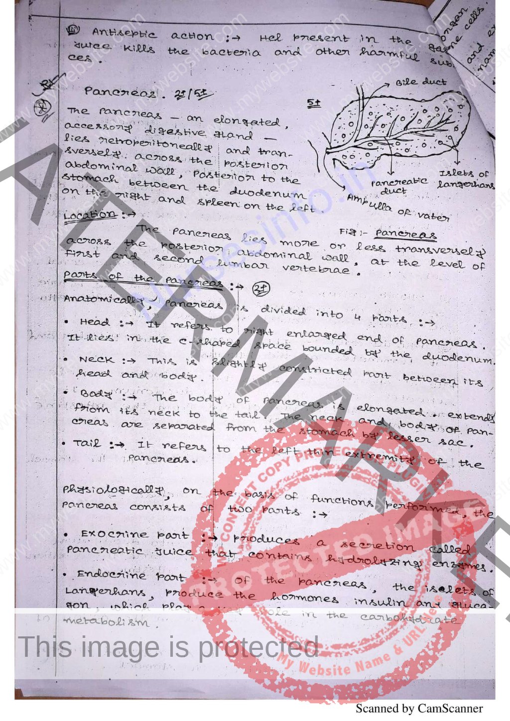 BSc Nursing First Year Anatomy and Physiology Notes/Book (PDF) - Nurse Info