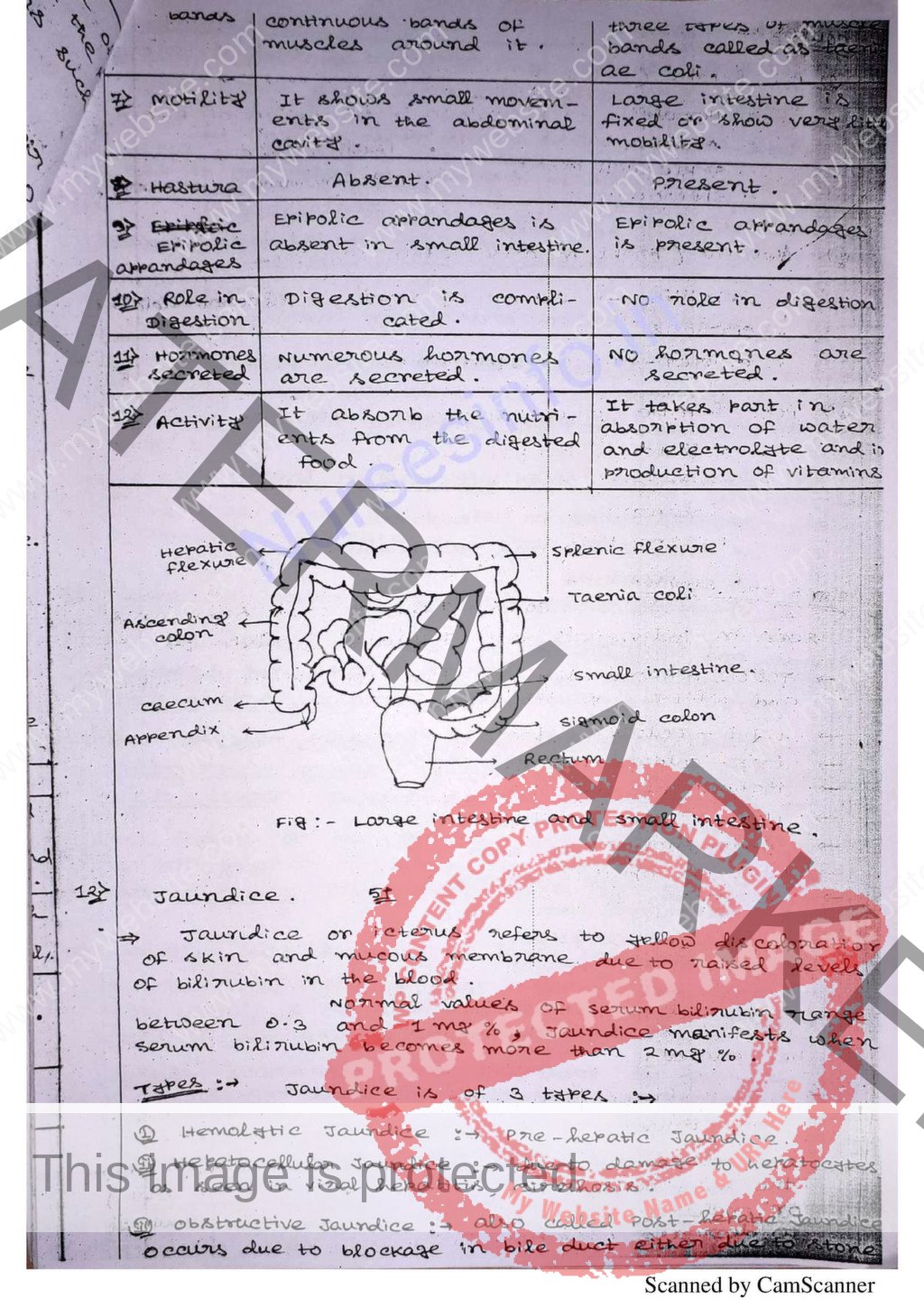 BSc Nursing First Year Anatomy and Physiology Notes/Book (PDF) - Nurse Info