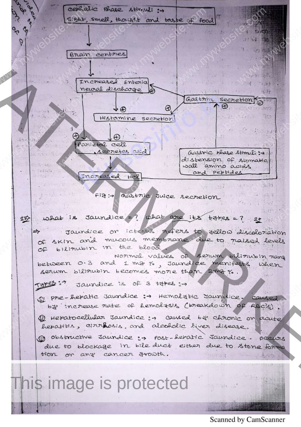 BSc Nursing First Year Anatomy and Physiology Notes/Book (PDF) - Nurse Info