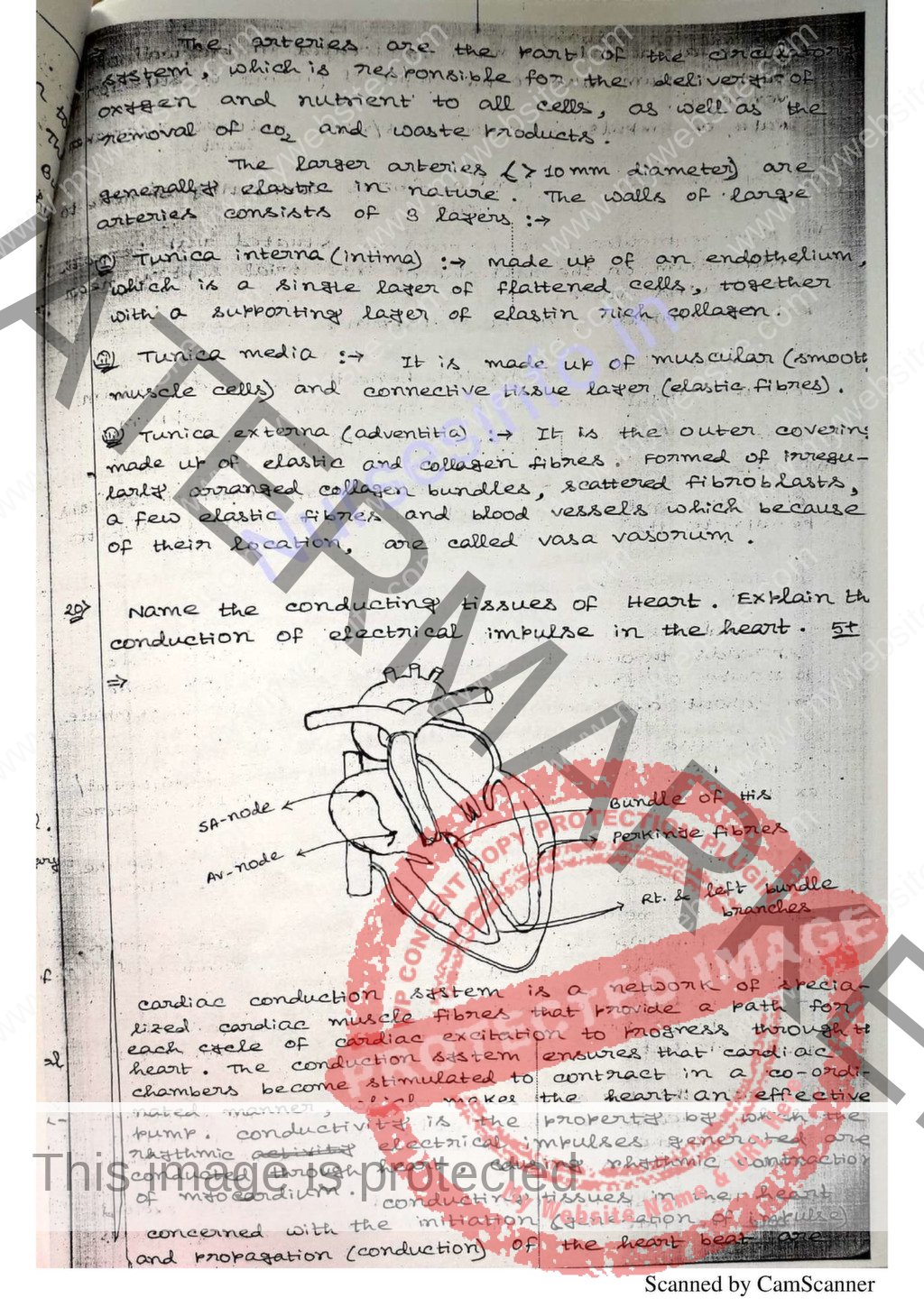 BSc Nursing First Year Anatomy And Physiology Notes Book PDF Nurse Info BSc Nursing First Year Anatomy And Physiology Notes Book PDF Nurse Info