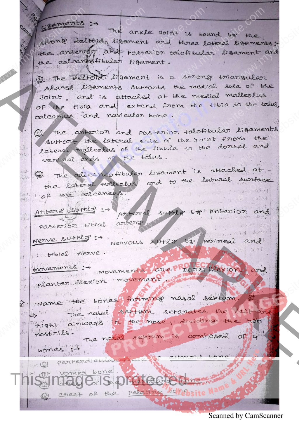 BSc Nursing First Year Anatomy and Physiology Notes/Book (PDF) | nurseinfo