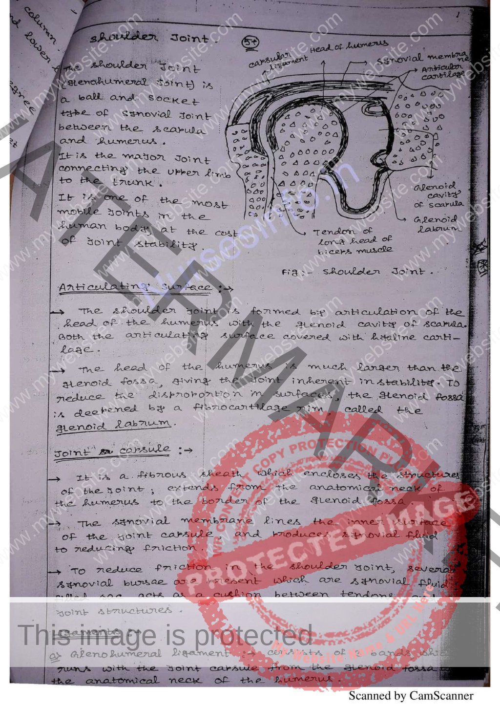 BSc Nursing First Year Anatomy and Physiology Notes/Book (PDF) | nurseinfo