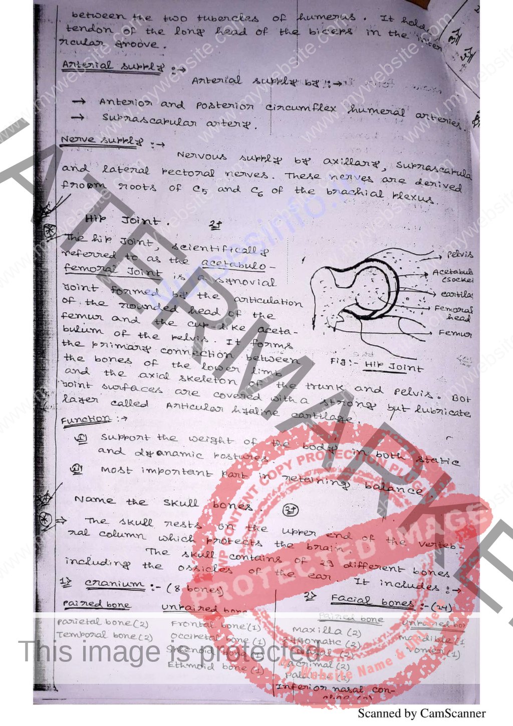 BSc Nursing First Year Anatomy and Physiology Notes/Book (PDF) | nurseinfo