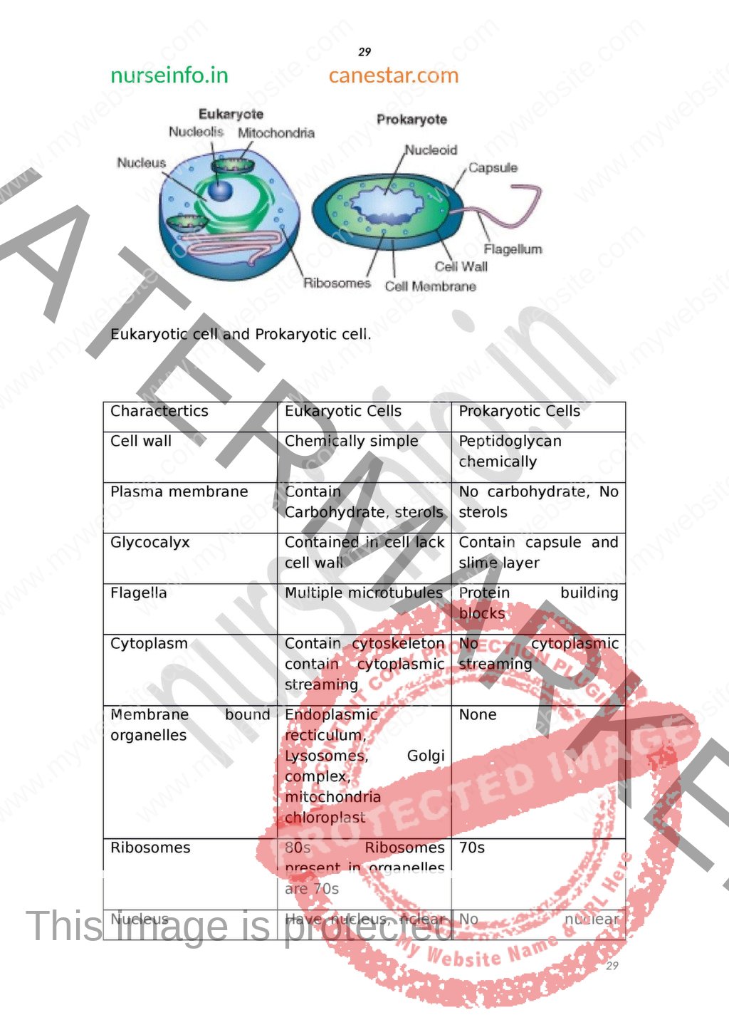 BSC Nursing First Year “Microbiology For Nurses” Notes/Book (PDF ...