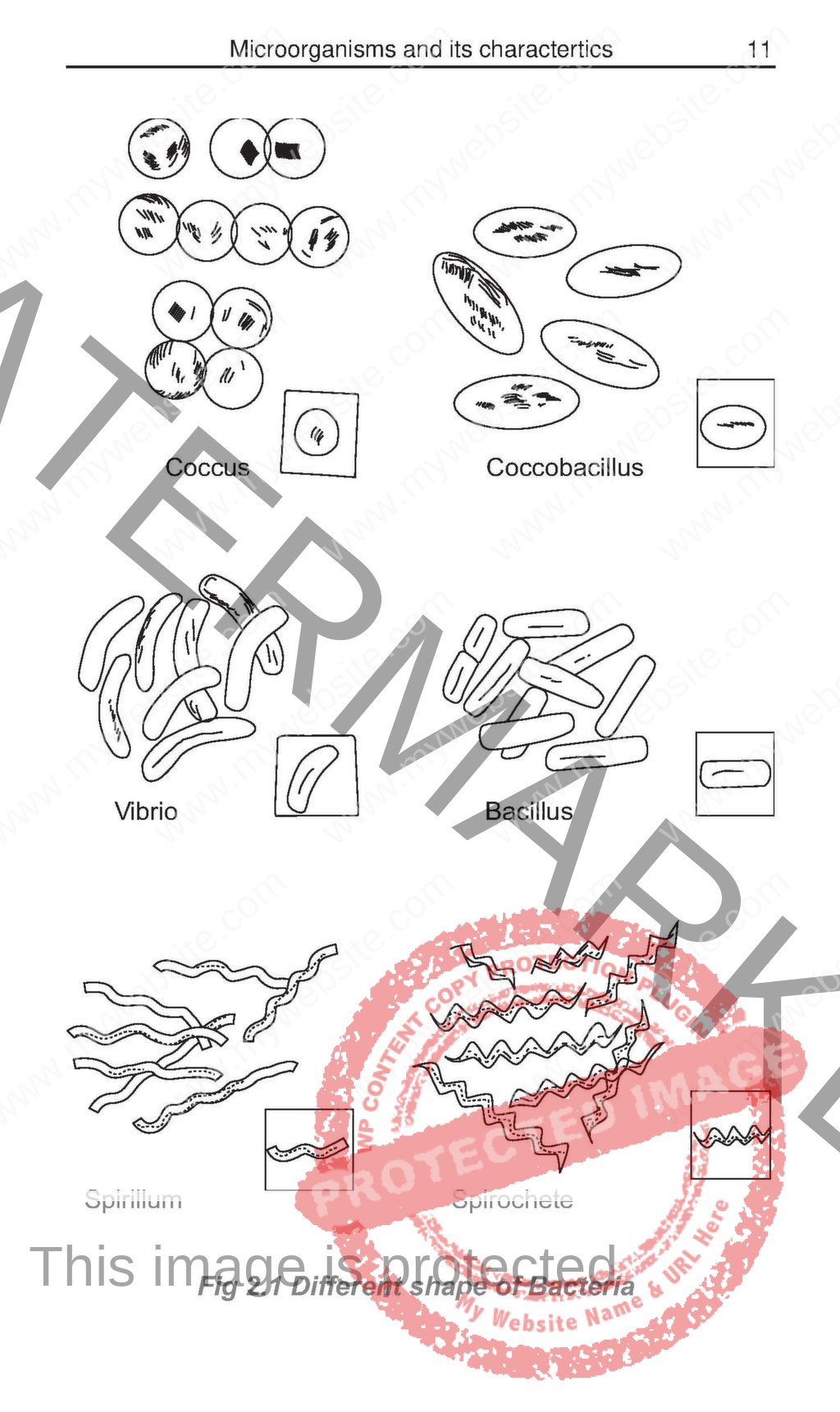 BSC Nursing First Year Microbiology Notes/Book (PDF) - Nurse Info