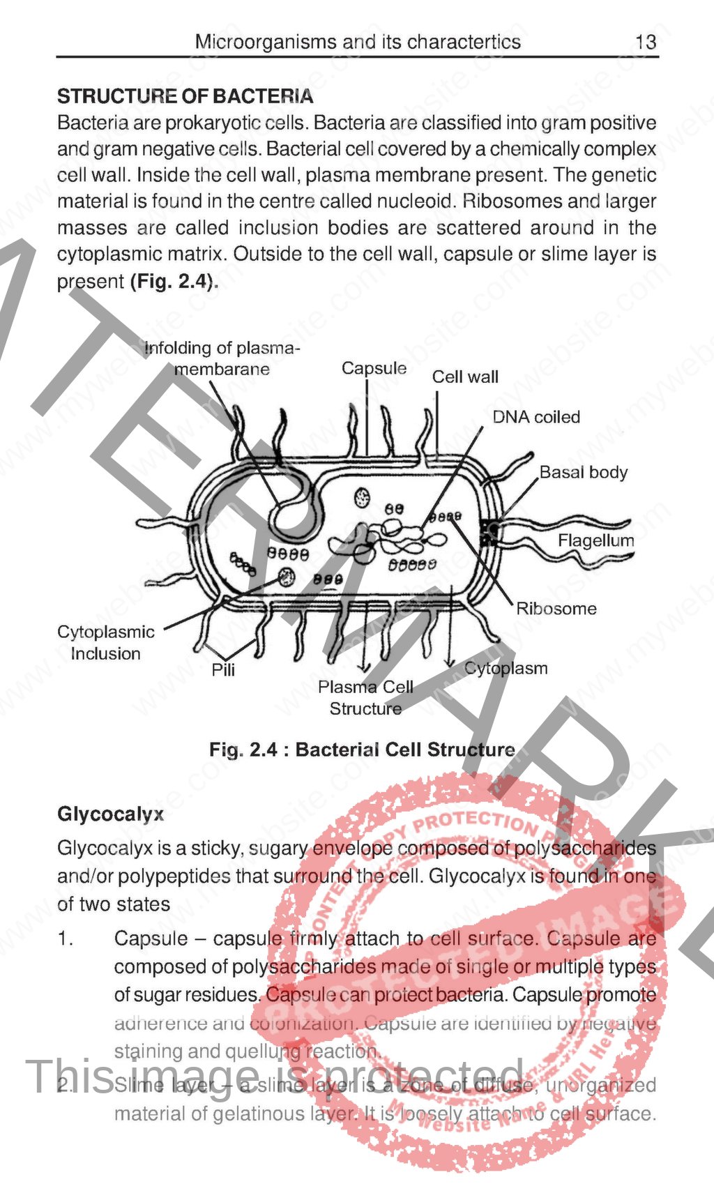 BSC Nursing First Year Microbiology Notes/Book (PDF) - Nurse Info