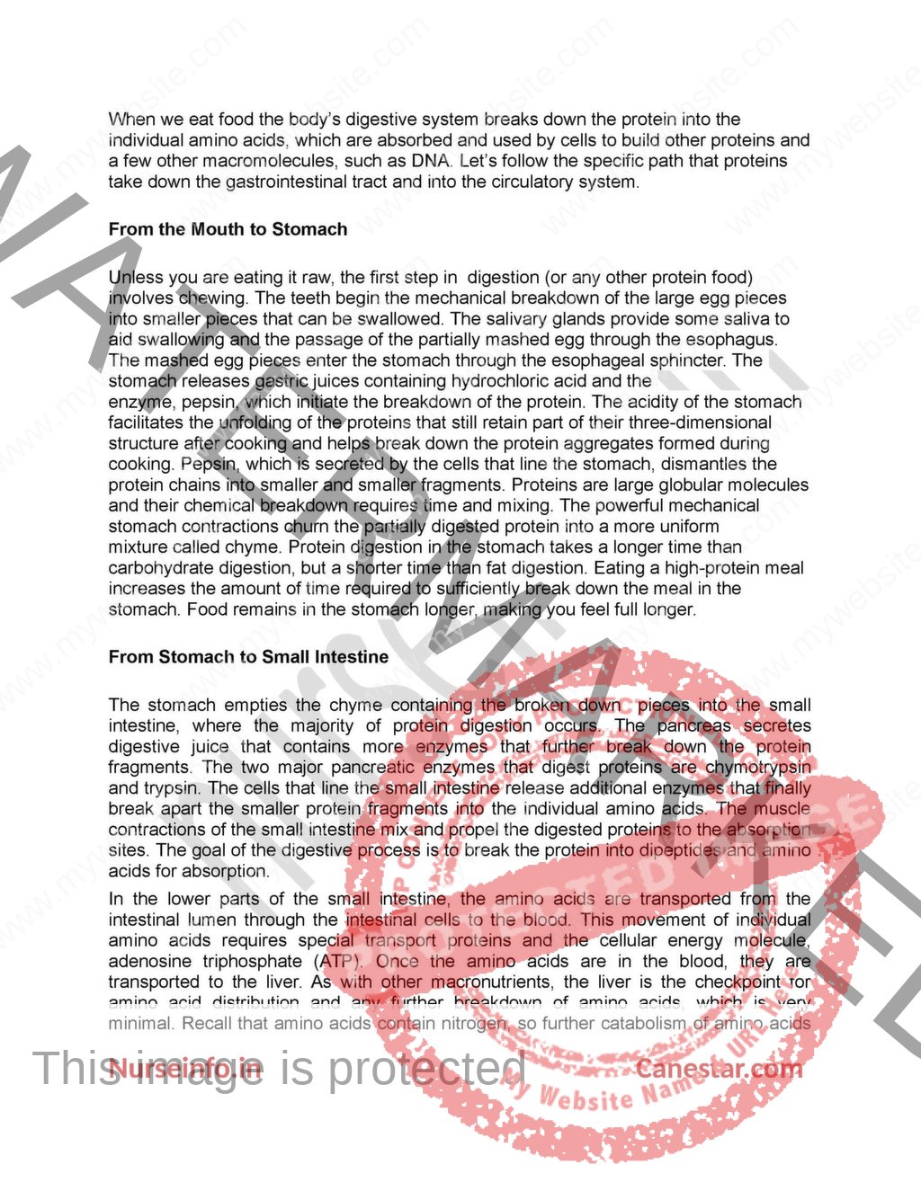 BSC Nursing Nutrition Notes/Book (PDF) | nurseinfo