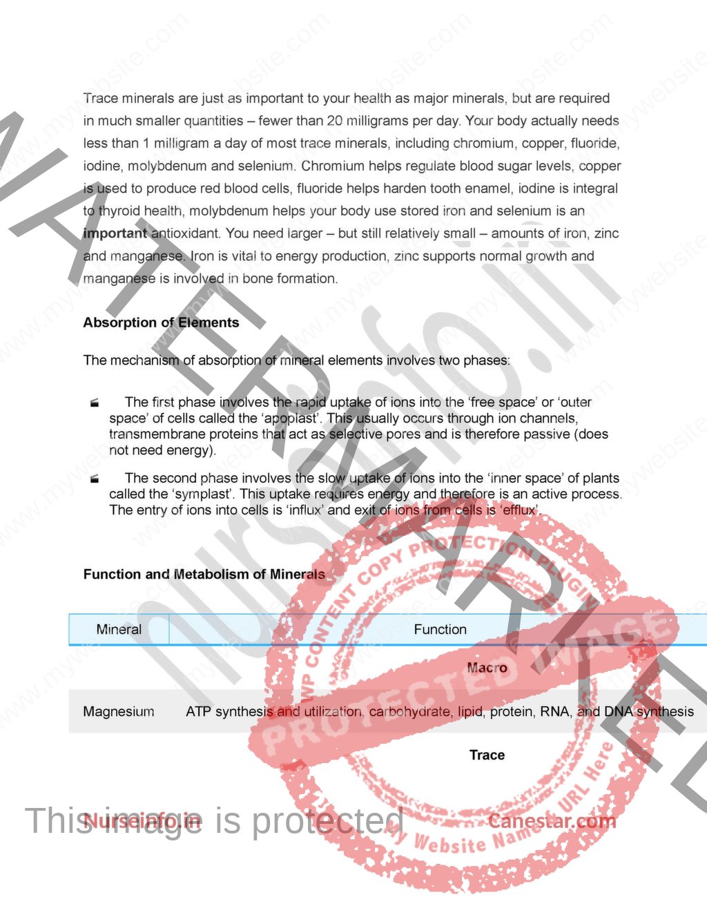 BSC Nursing Nutrition Notes/Book (PDF) | nurseinfo