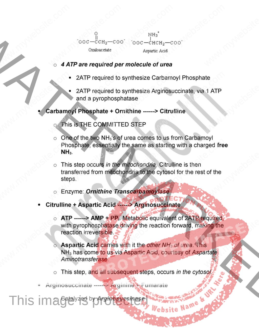 BSC Nursing First Year Biochemistry Notes/Book (PDF) - Nurse Info
